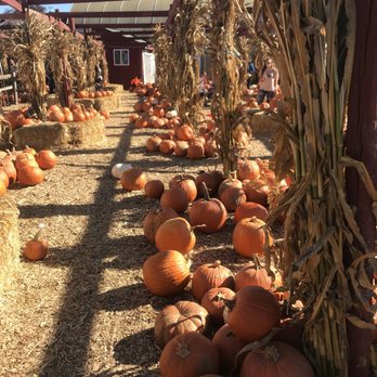 Silverman’s Farm - 82 Photos & 79 Reviews - Farmers Market - 451 Sport ...