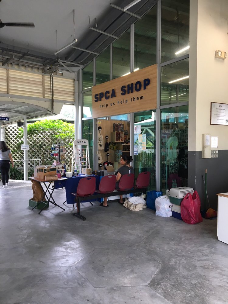 SPCA - 10 Photos - Animal Shelters - 50 Sungei Tengah Rd, Choa Chu Kang ...