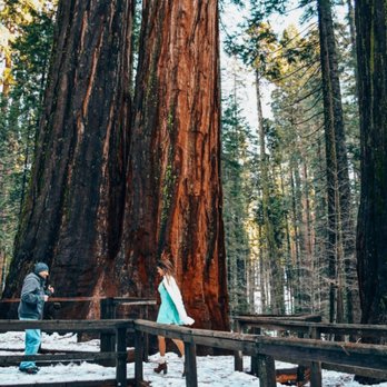 Calaveras Big Trees State Park - 623 Photos & 243 Reviews - Parks ...