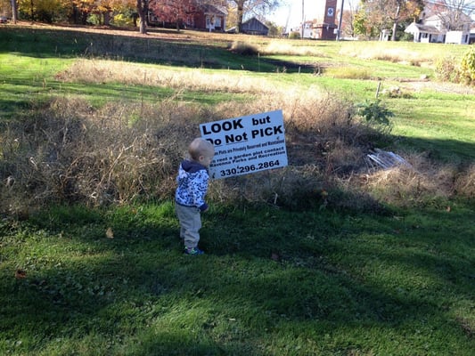 Rootstown Township, OH Map & Directions - MapQuest