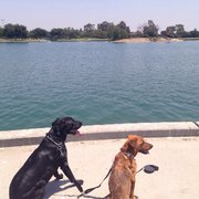 Earvin Magic Johnson Park - 31 Photos - Recreation Centers - 12601 ...