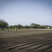 Ardenwood Historic Farm - 508 Photos & 180 Reviews - Parks - 34600 ...