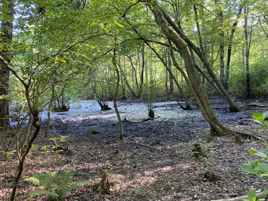 Englishtown, NJ Map & Directions - MapQuest