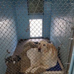 Deer Park Kennels - 18 Photos & 11 Reviews - Pet Sitting - 4815 Wards ...