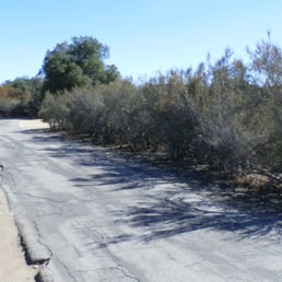 Oak Grove Campground - 21 Photos - Campgrounds - 37571 Hwy 79, Warner ...