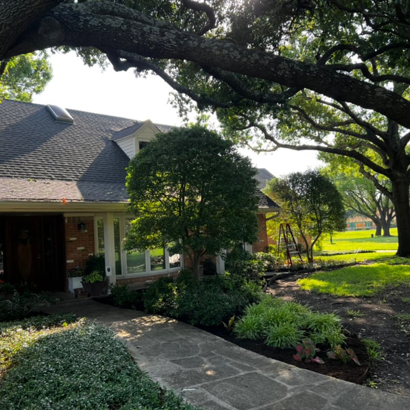 ROA TREE SERVICE - 10 Photos - Carrollton, TX - Yelp