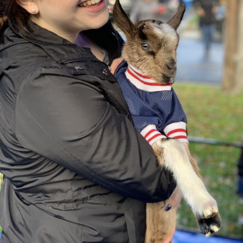 CUTE & CUDDLEE MOBILE PETTING ZOO - 39 Photos & 20 Reviews - San ...