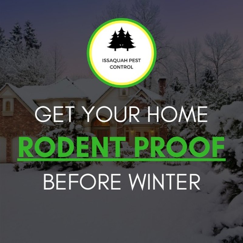 ISSAQUAH PEST CONTROL - 190 Reviews - Pest Control - 1315 NW Mall St ...