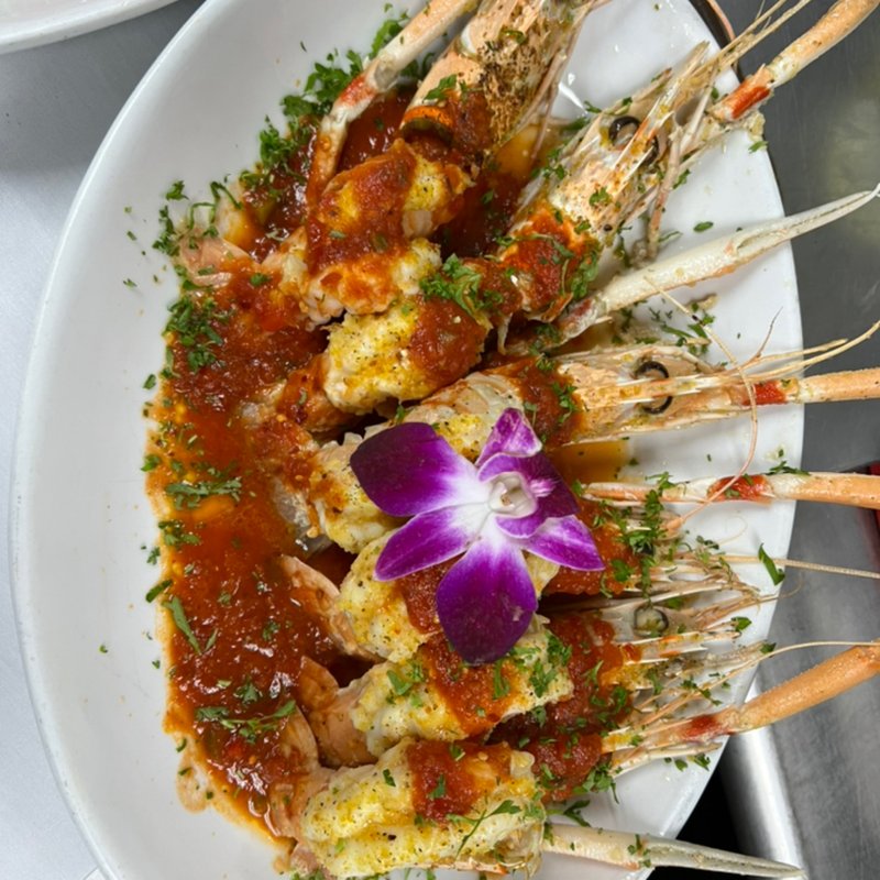 TERRA RUSTICA - 224 Photos & 164 Reviews - 550 N State Rd, Briarcliff ...