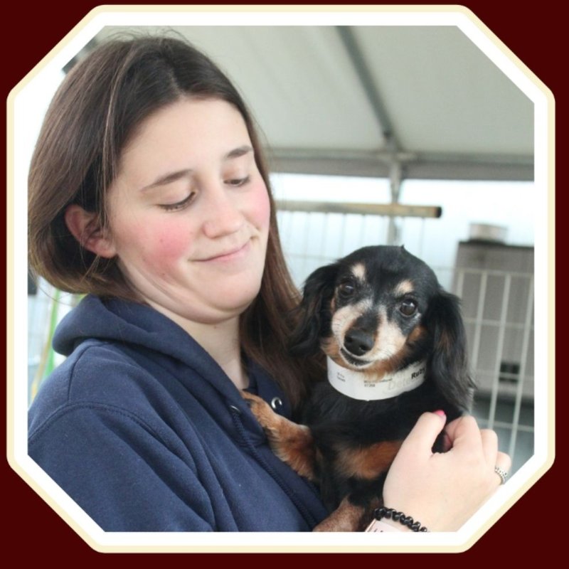 MORRIS ANIMAL INN - 83 Photos & 86 Reviews - Pet Groomers - 120 Sand ...